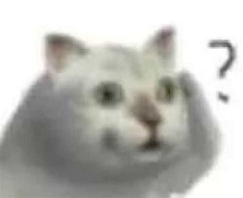 奇怪的知识 奇怪的知识太多了 奇怪的东西 第13页 大山谷图库