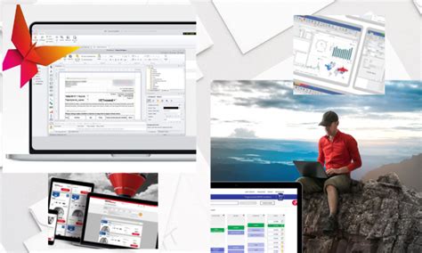 Lsb Data Reviews And Clients Designrush
