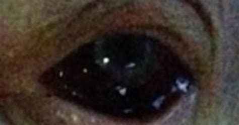 Scared The Crap Out Of Me Album On Imgur