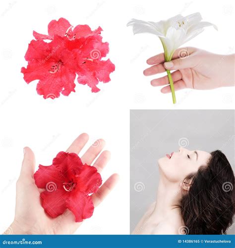 Spa Collection With Girl Profile Stock Image Image Of Dreamy Feminine 14386165