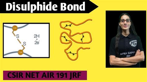 Disulphide Bond Biochemistry Apnasapnajrf Csirnetlifescience Youtube
