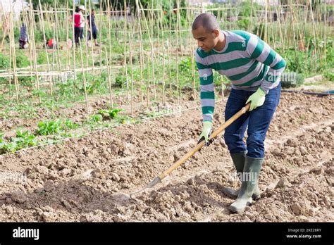 Manually Tilling Soil At Maria Kratochvil Blog