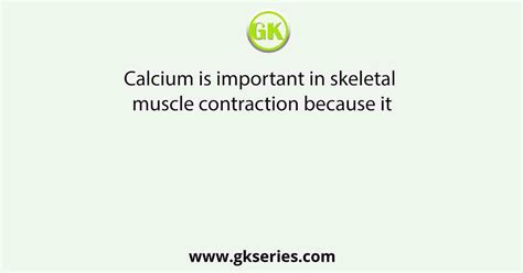 Calcium Is Important In Skeletal Muscle Contraction Because It