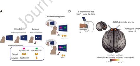 Figure 1 From Neural Circuits For Retrospective And Prospective Introspection For The Past