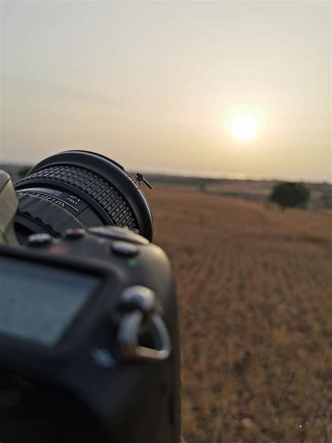 La Traiettoria Del Sole Nei Giorni Dei Solstiziequinozi