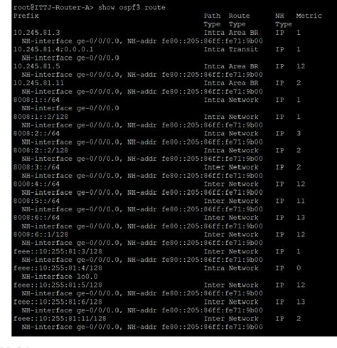 Figure 3 From Implementation Ospfv3 For Internet Protocol Verses 6
