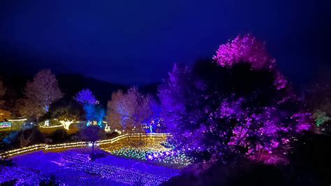 Syv Holiday Lights Festival