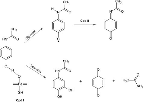 Paracetamol Structure Activity Relationship