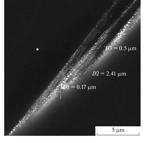 Electron Micrograph Of A Grain Boundary D1 Is The Size Of An Download Scientific Diagram