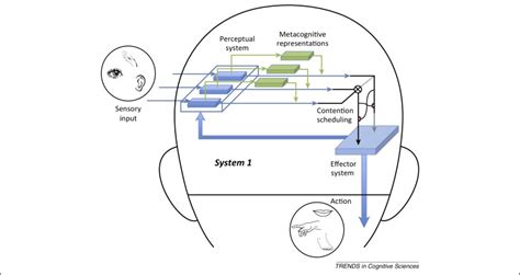 Supra Personal Cognitive Control And Metacognition Trends In Cognitive Sciences