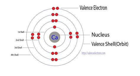 The Bohr Diagram Of Calcium Ion Revealed A Visual Insight Into Its Electronic Structure