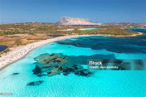 우산이 있는 하얀 모래 해변 푸른 바다에 호화 요트와 보트 여름의 화창한 날에 아름다운 섬의 공중 전망 바다 연안 이탈리아 사르데냐의 청록색 투명한 물 상단 드론 보기 0