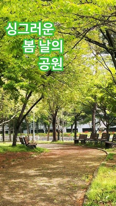 봄날 산책 싱그러운 화창한 좋은날 Youtube