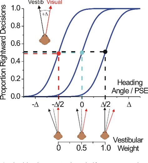 Figure 2 From Dynamic Reweighting Of Visual And Vestibular Cues During