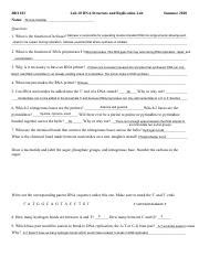 BIO 103 DNA Lab Tj Pdf BIO 103 Lab 10 DNA Structure And Replication Lab Summer 2020 Thomas