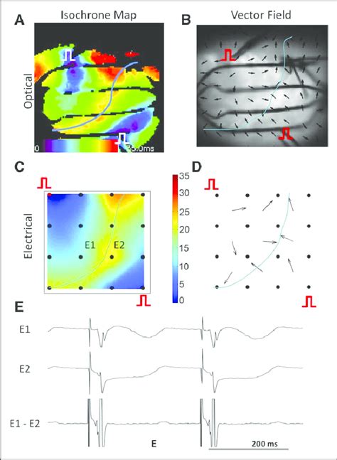 Effect Of Wave Collision On Velocity Vector Field A Isochrone Map Download Scientific Diagram