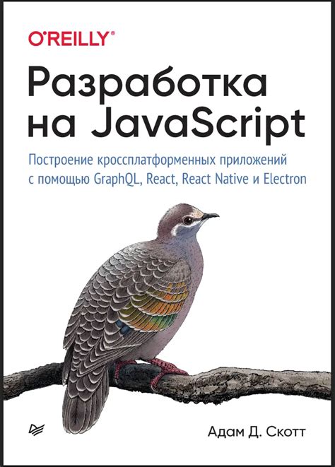 🔥 Скачать бесплатно Разработка на Javascript Построение