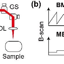 Experimental Setup A Schematic Of Experimental OCT System OC Download Scientific Diagram