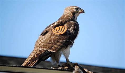 Pp 12 28 12 Good Natured