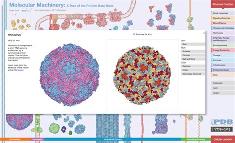 Pdb 101 Play With Molecular Animations
