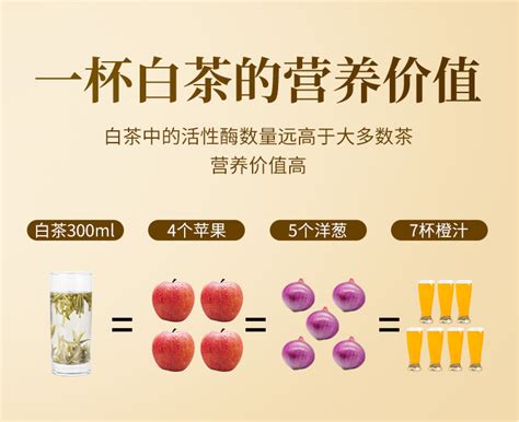 大与茶號 政和白茶 上品拣芽 2022年白牡丹 政和大白 特级500g木箱 醉品茶城