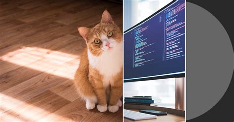 List Javascript Curated By Richard Eason Medium List Javascript Curated By Richard Eason Medium