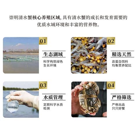 光明崇明农场清水大闸蟹 1088型蟹卡 商品详情 菜管家