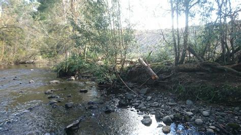 The Tyenna River Flylife Magazine