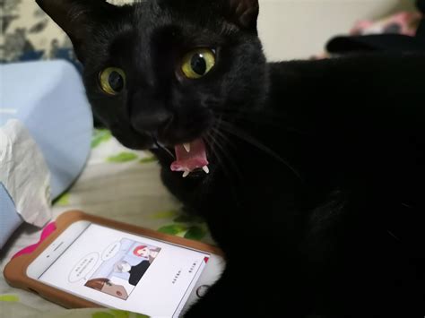 邁向完美之姿的華為 Mate 10 Pro 旗艦開箱！高佔比大螢幕 進化徠卡雙攝 雙 4g Ai 更智慧 3c 達人廖阿輝