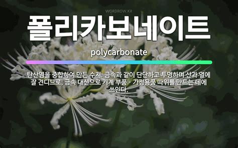 🌟폴리카보네이트 탄산염을 중합하여 만든 수지 금속과 같이 단단하고 투명하며 산과 열에 잘 견디므로 금 표준국어대사전