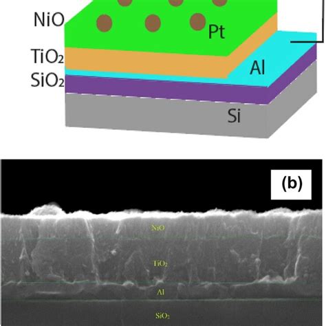 A Schematic Structure Of The Fabricated P Nion Tio2 Heterojunction