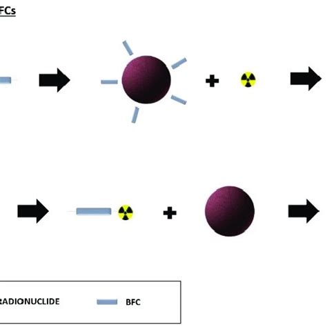 Different Approaches To Radiolabel Nps Using Bfcs Download Scientific Diagram