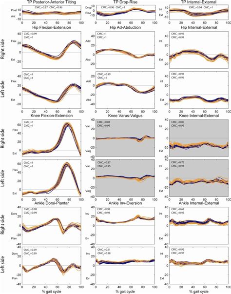 Test 2 14 Gait Cycles For Subject Af As Measured By Xsens Bright Download Scientific Diagram