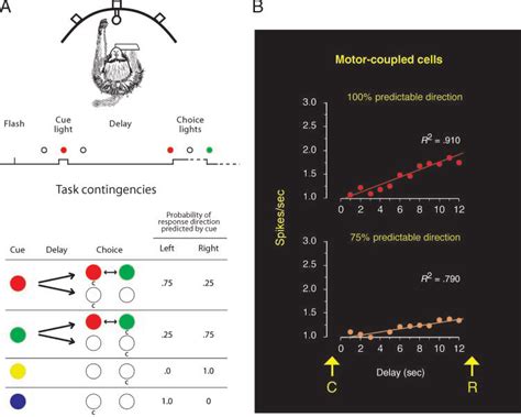 A Task With Temporal And Spatial Separation Between Cues And Download Scientific Diagram