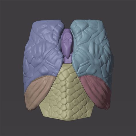 3d Printable Mandalorian Dragonscale Armor Star Wars Wearable Multicolor 3mf And Stl Model By