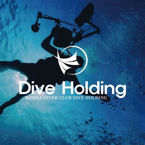 다이브 홀딩 포트폴리오 입니다 로고 디자인 포트폴리오 크몽
