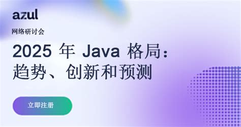 Java 专家探讨 Java 的现状和未来 Azul Better Java Performance Superior Java Support
