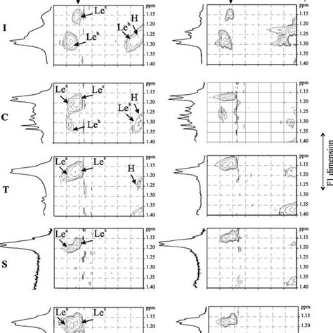 Extended Regions Of Two Dimensional Tocsy Nmr Spectra Of Download