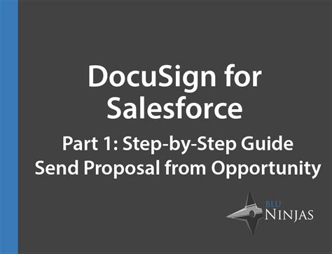 ultimate docusign esignature for salesforce step by step guide blu ninjas