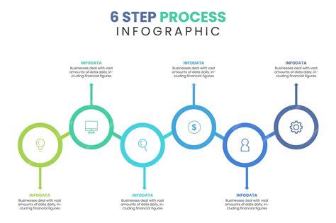 premium vector vector infographic template with icons and 6 options