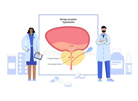 Man Reproducive System Problems Stock Illustration Illustration Of Male Health 203845502