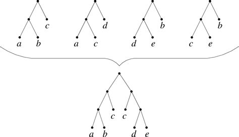 The Set Of Rooted Triplets {ab C Ac D De B Ce B} Is Consistent With Download Scientific