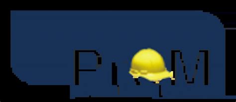 Software Process Mining