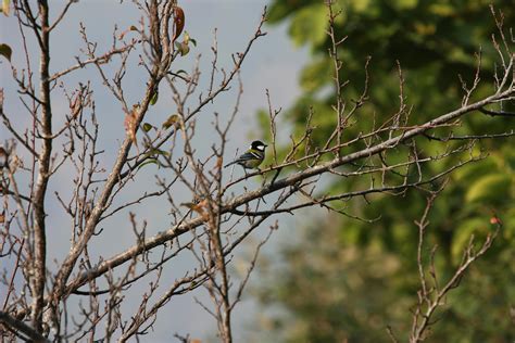 Girlsthathavenocloseon Photos Download The Best Free Girlsthat