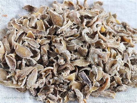 생강가루만드는법~ 서산생강