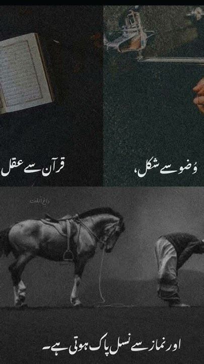 Allah Is Mahiny Ky Sadqy Sub Ko Namazo Ki Tilawat E Quran Duroody Pak