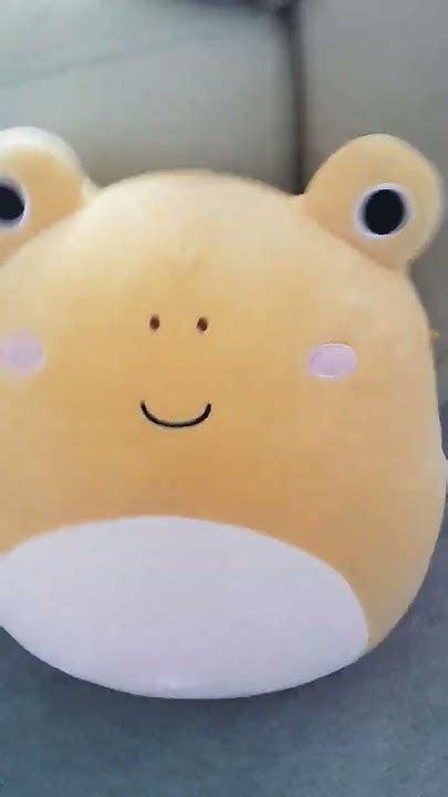 Music Animation Disney Squishmallows When A New Movie Came