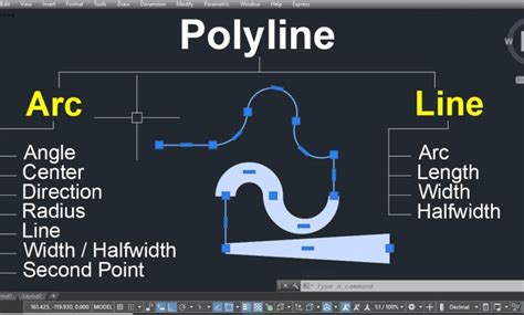 Autocad Polylines Faqs 25 Questions And Answers Cad Academy