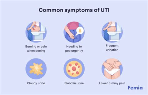 Can You Have Sex With A Uti What You Need To Know Femia