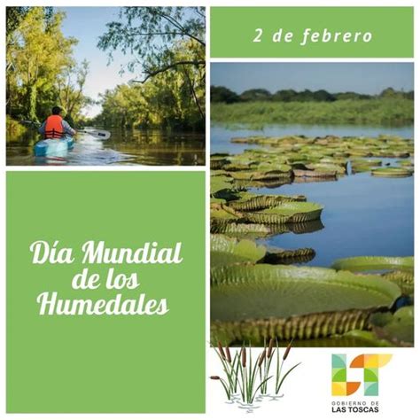 Sabes Que Son Los Humedales Paralelo 28 Ar